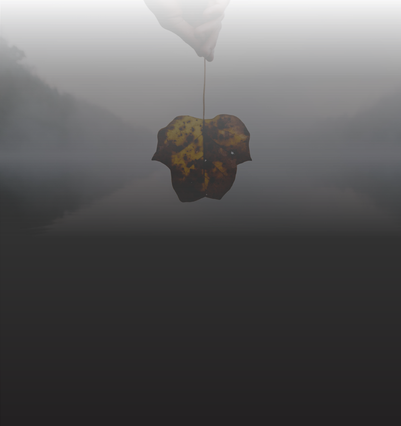 Contact Us - Keminates (Laminates) Co.,Ltd